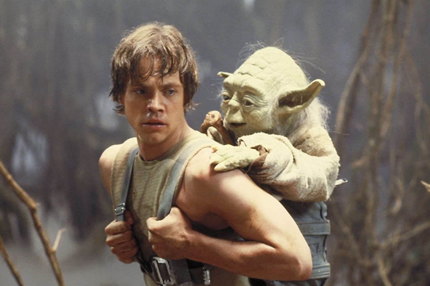Star Wars: Luke Skywalker e Yoda se beijam e têm um bebê em trailer ...